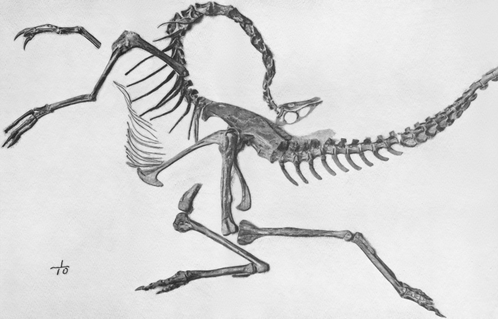 #2957850 - safe, artist:ja0822ck, princess celestia, alicorn, dinosaur, pony, g4, dead pose ...