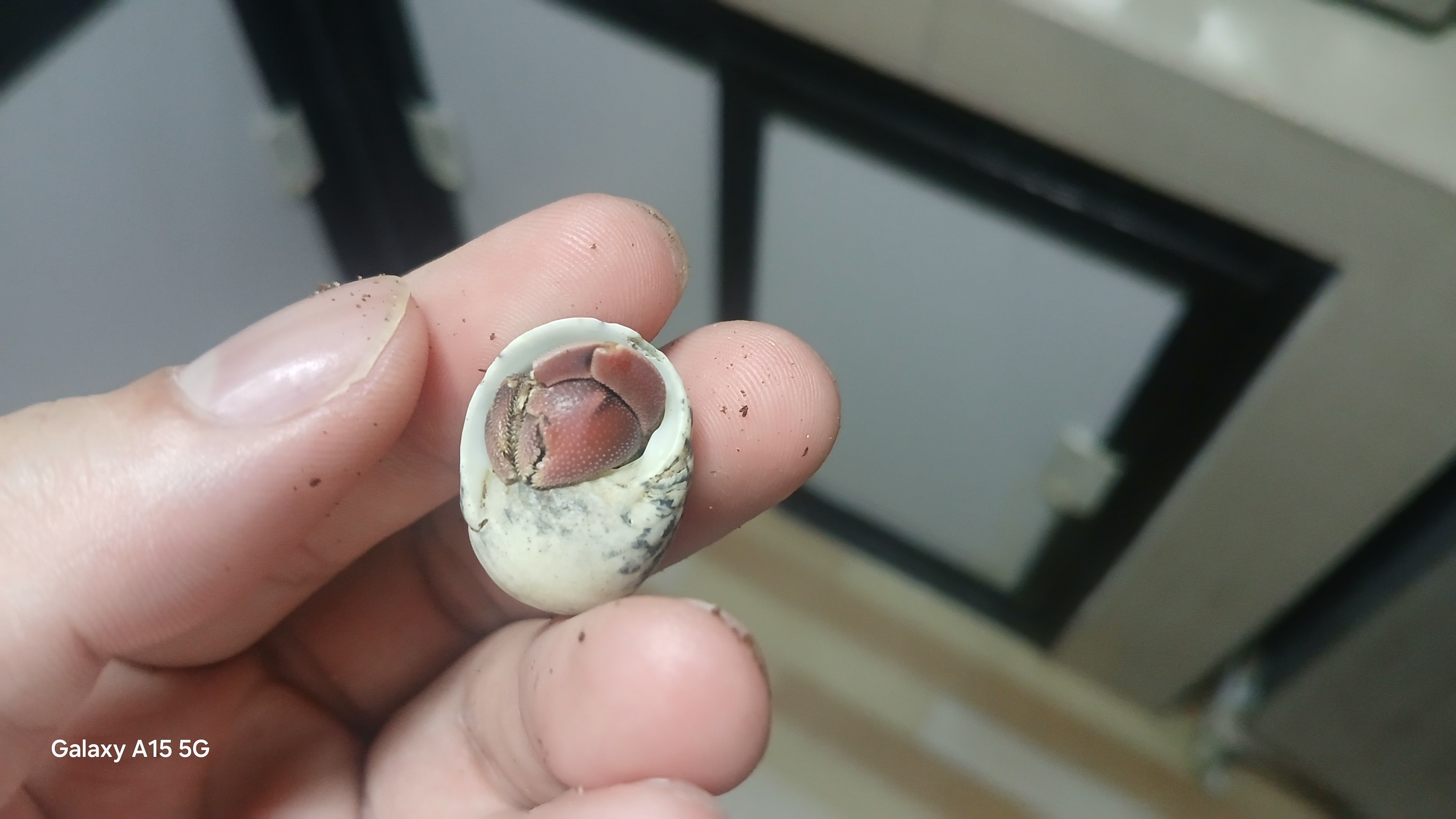 Happy venting thread - General Discussion - Forums - Derpibooru