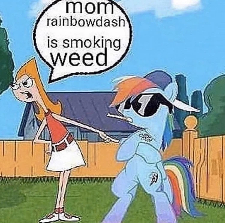 #3010959 - safe, artist:ditchu, rainbow dash, human, pegasus, pony, g4 ...