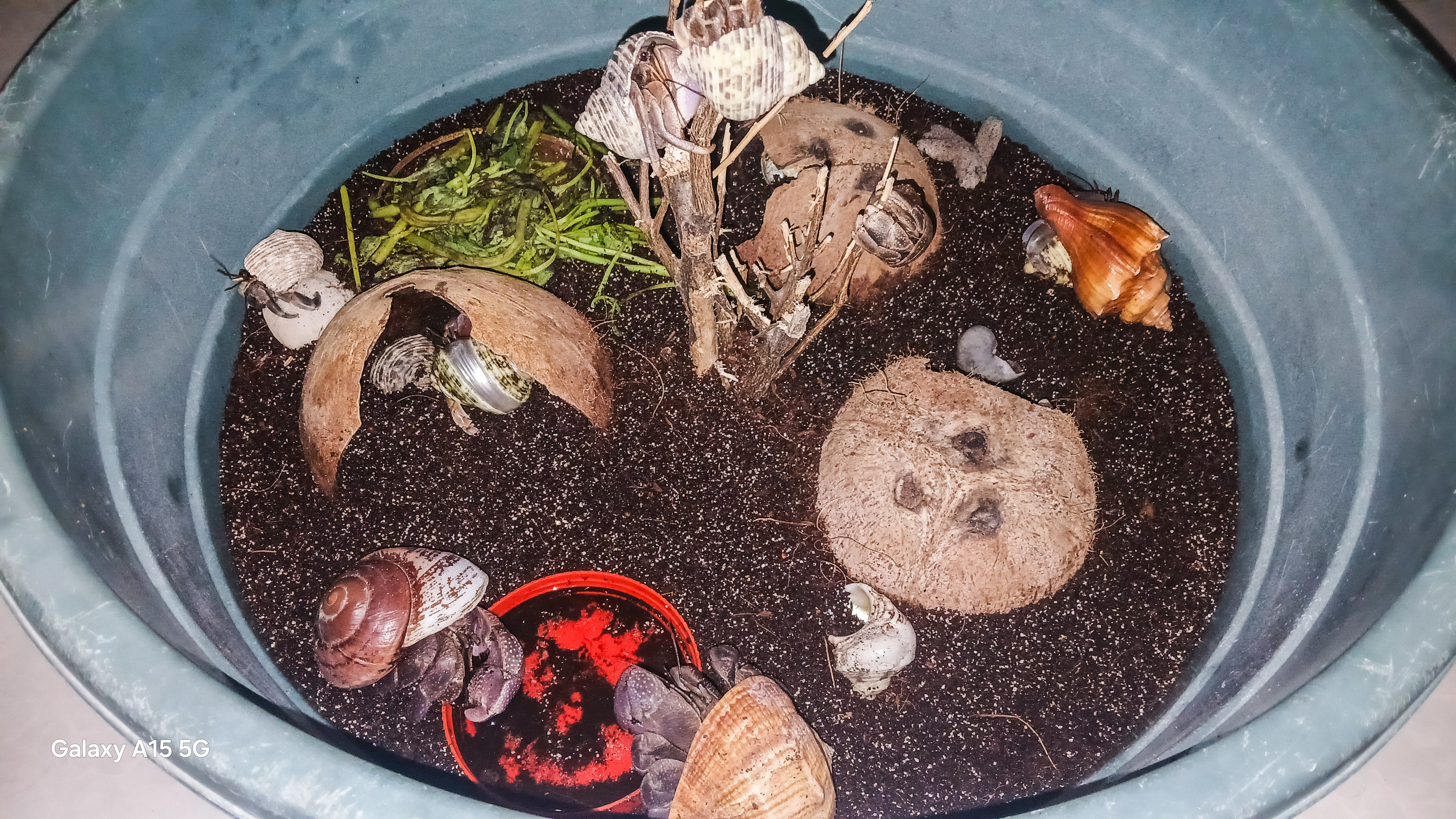 Happy venting thread - General Discussion - Forums - Derpibooru