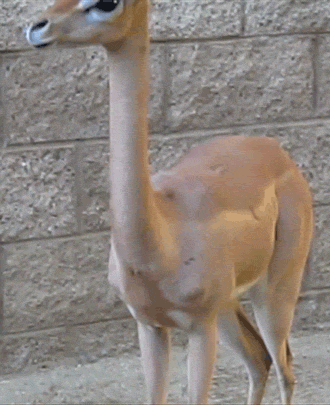 #1059726 - suggestive, artist:blueblaze95, applejack, twilight sparkle ...