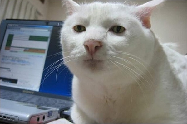 #1557205 - explicit, artist:snuddy, bright mac, pear butter, earth pony ...