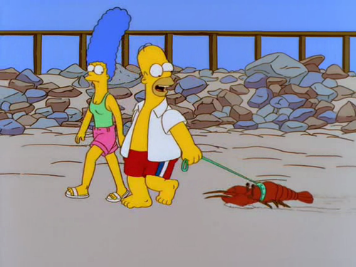 #2031966 - safe, edit, edited screencap, screencap, fluttershy, human ...