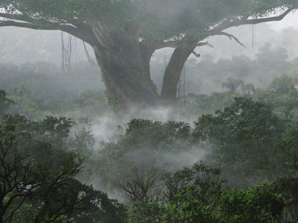 #2020858 - safe, edit, edited screencap, screencap, sandbar, smolder ...