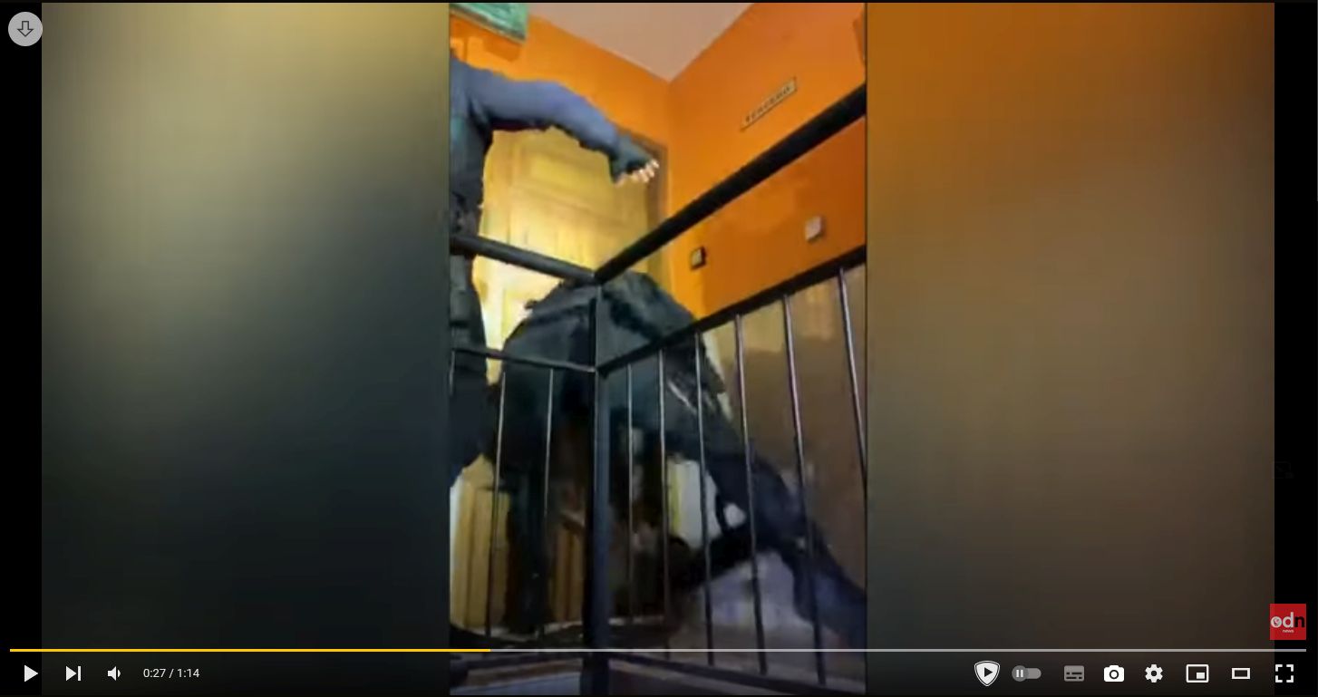 #3290533 - safe, artist:trash anon, pony, unicorn, g4, angry, armor ...