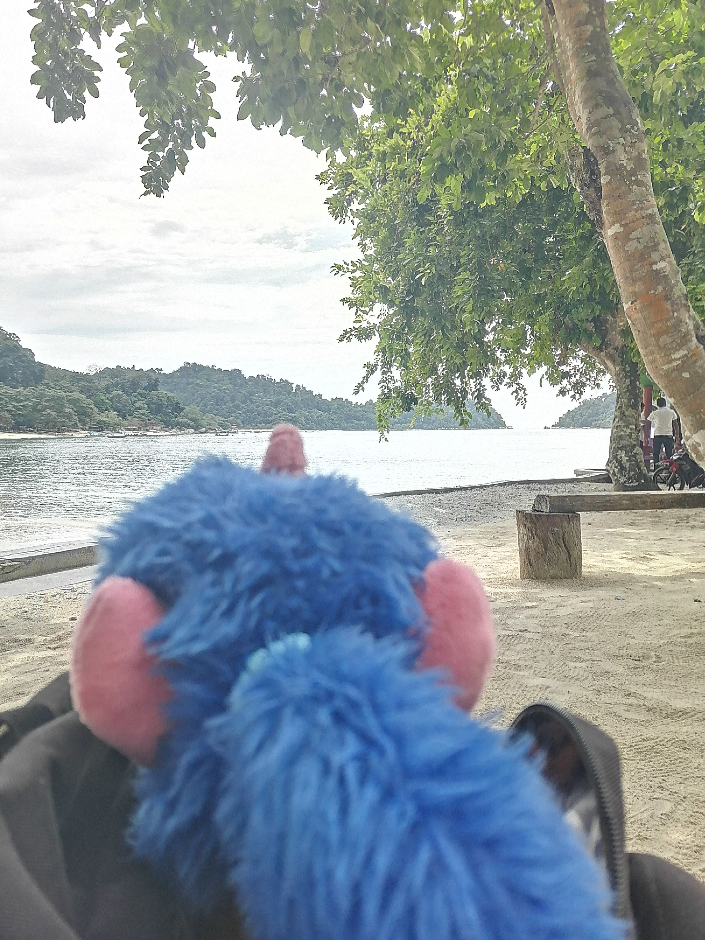 #3514918 - safe, artist:anonymous, oc, oc only, oc:heavy halbard, /mlp ...