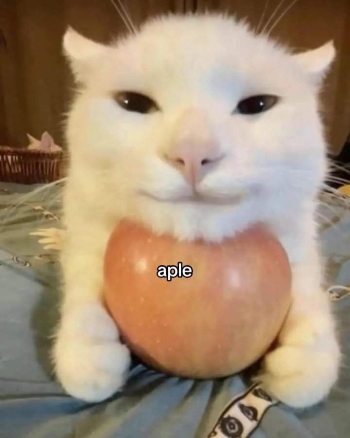 #3288675 - safe, artist:professorventurer, applejack, pony, g4, apple ...