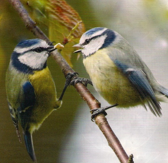 #2788703 - questionable, artist:grapefruit-face, artist:uzzi ...