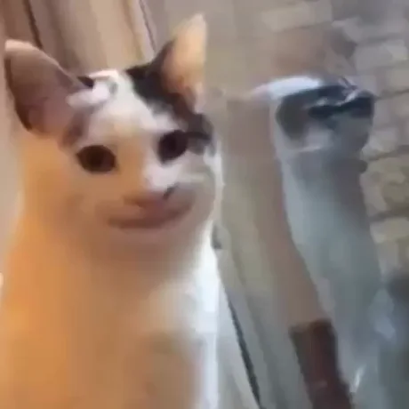 #1830396 - suggestive, artist:keendee miyavi, fluttershy, pegasus ...