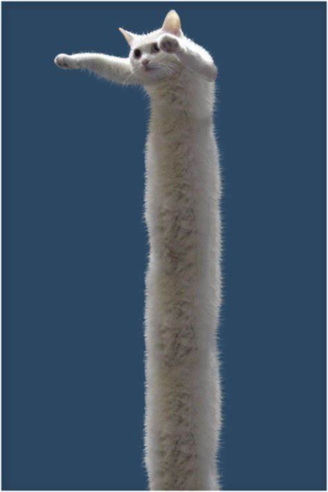 #3026778 - safe, artist:kittyrosie, edit, editor:dematrix-edit, starlight glimmer, pony, unicorn ...